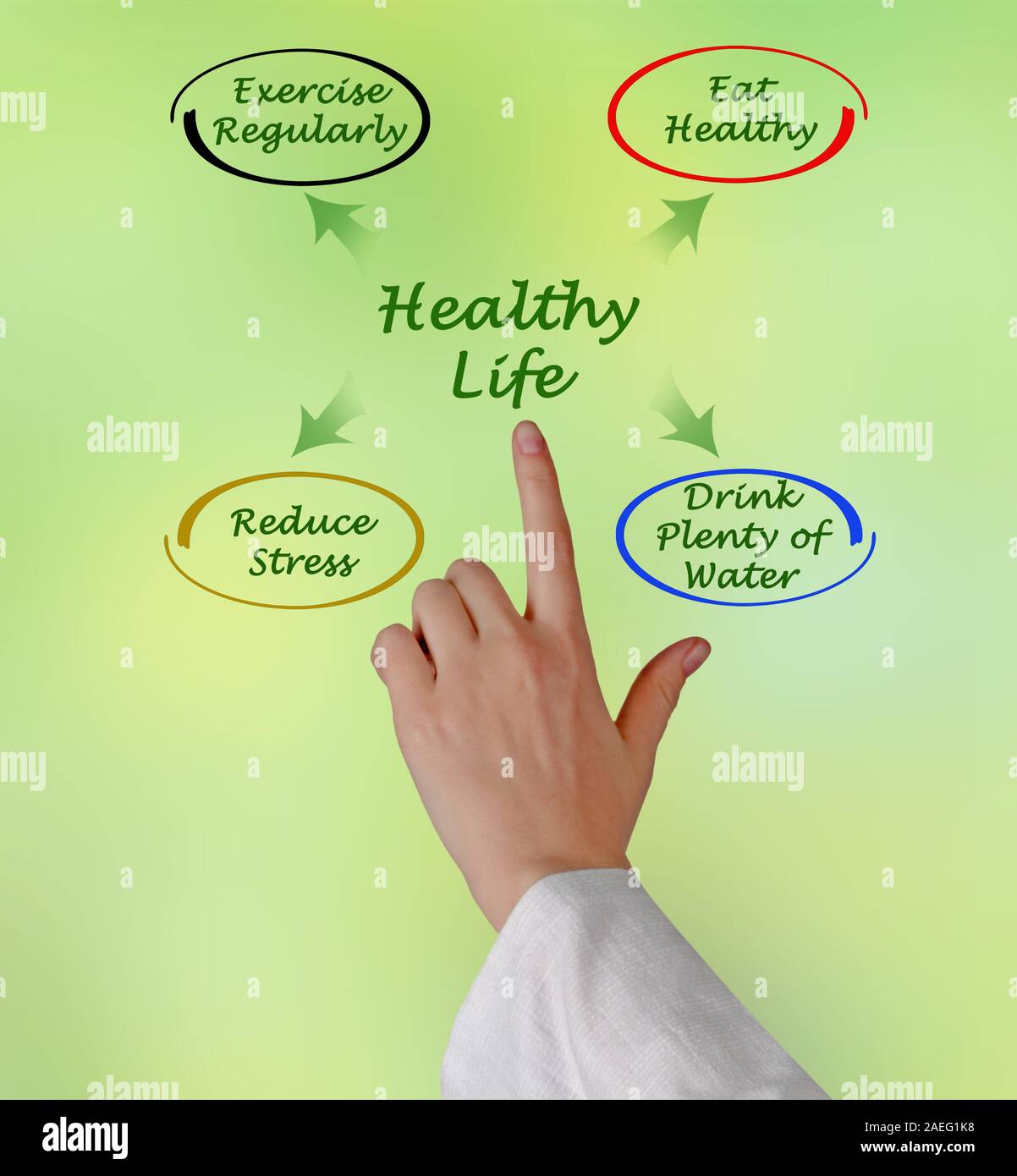 Diagram of healthy life Stock Photo - Alamy