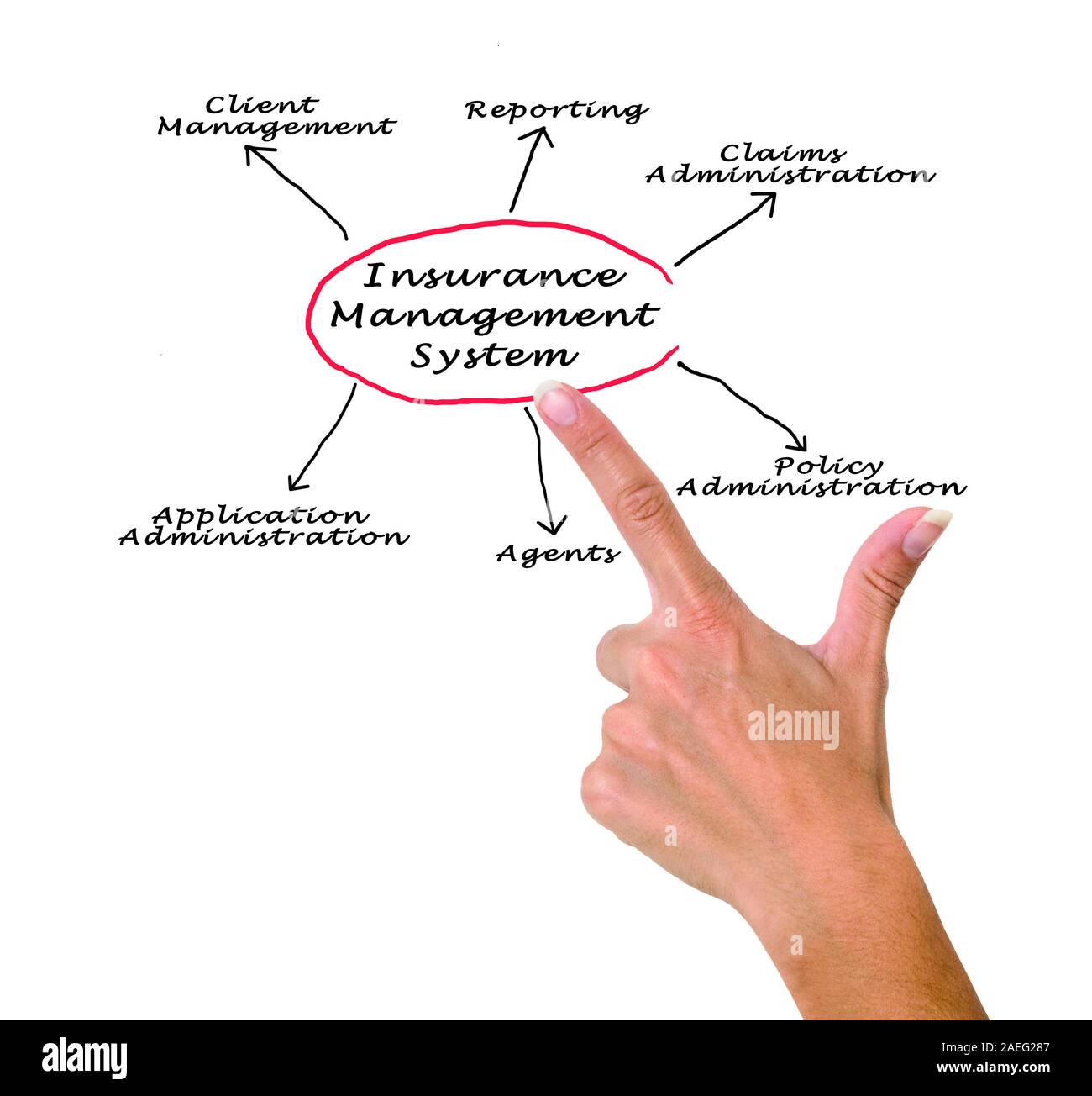 Insurance Management System Stock Photo - Alamy