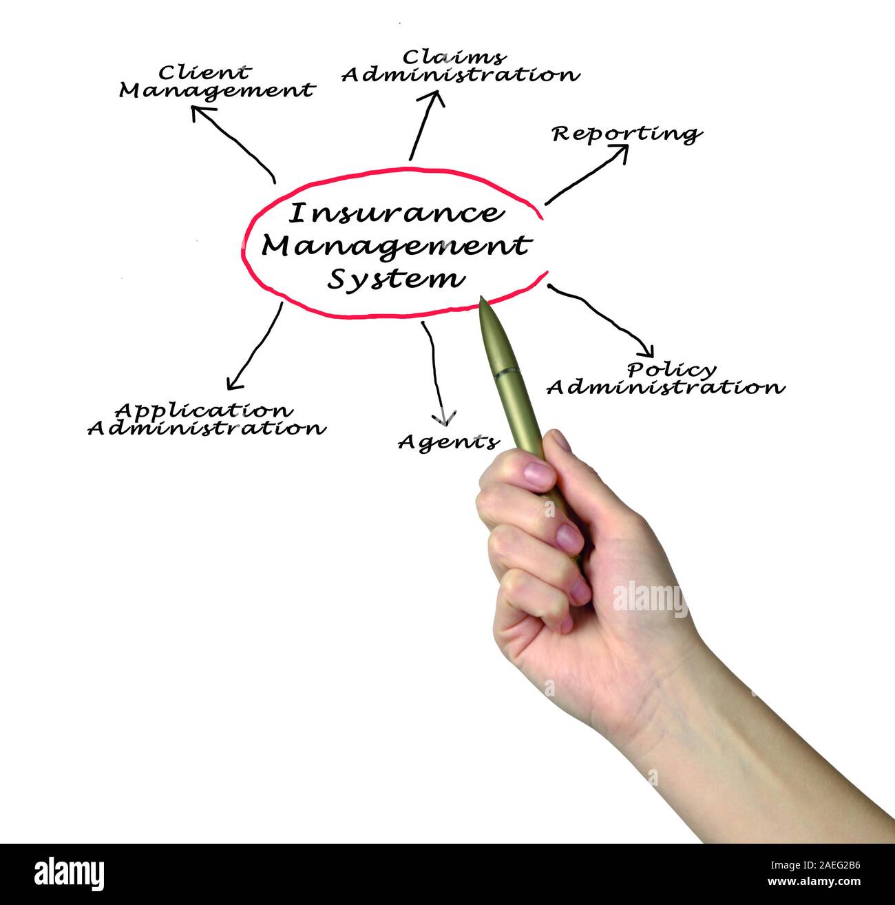Insurance Management System Stock Photo - Alamy