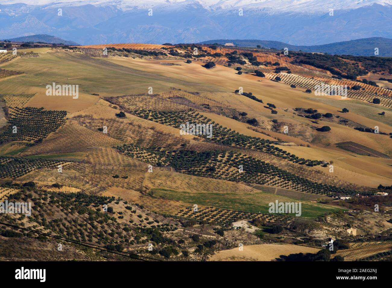 Moonrise over the snow covered Sierra Nevada mountain range viewed from ...