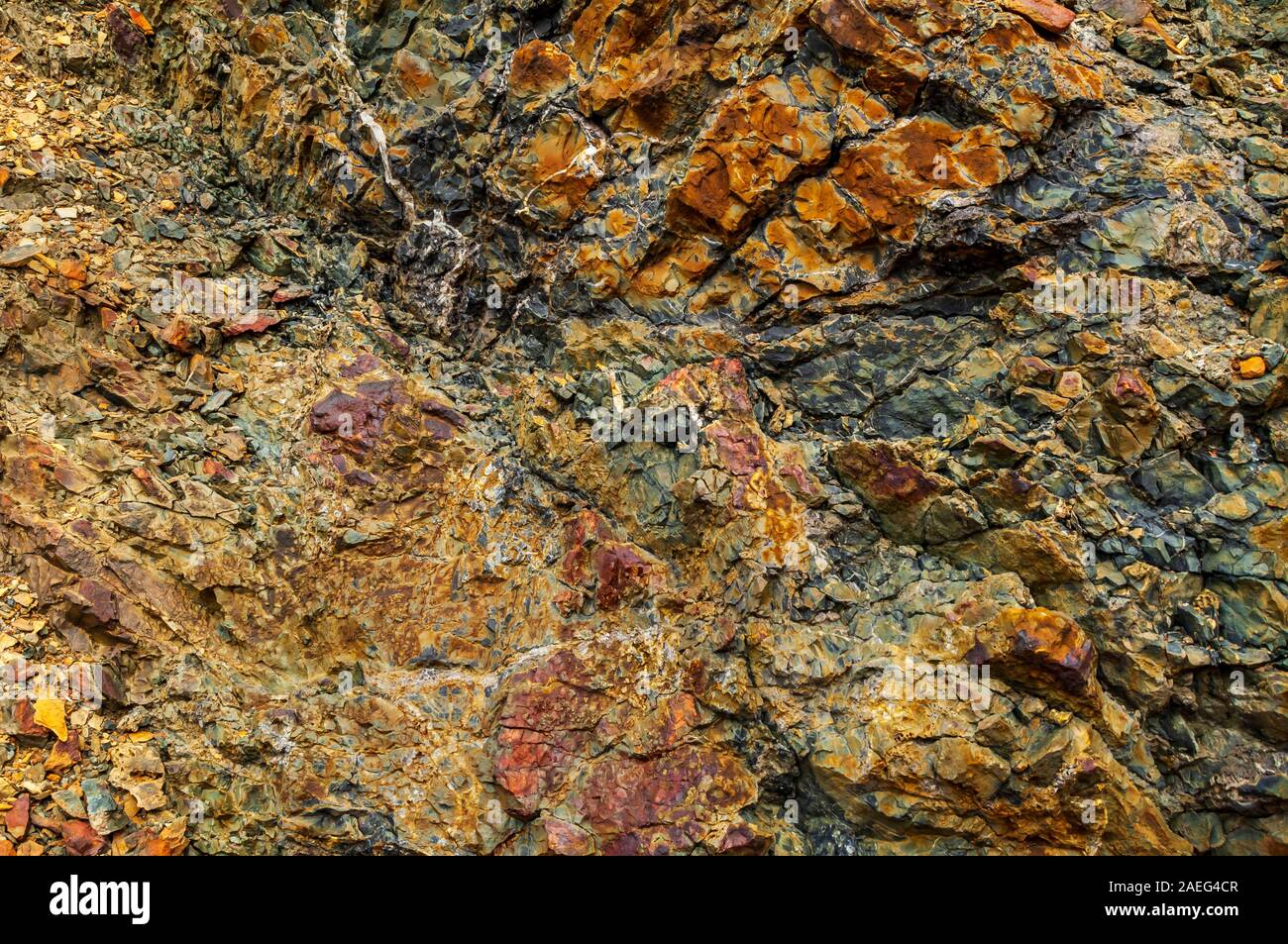 Welsh Fossils High Resolution Stock Photography and Images - Alamy