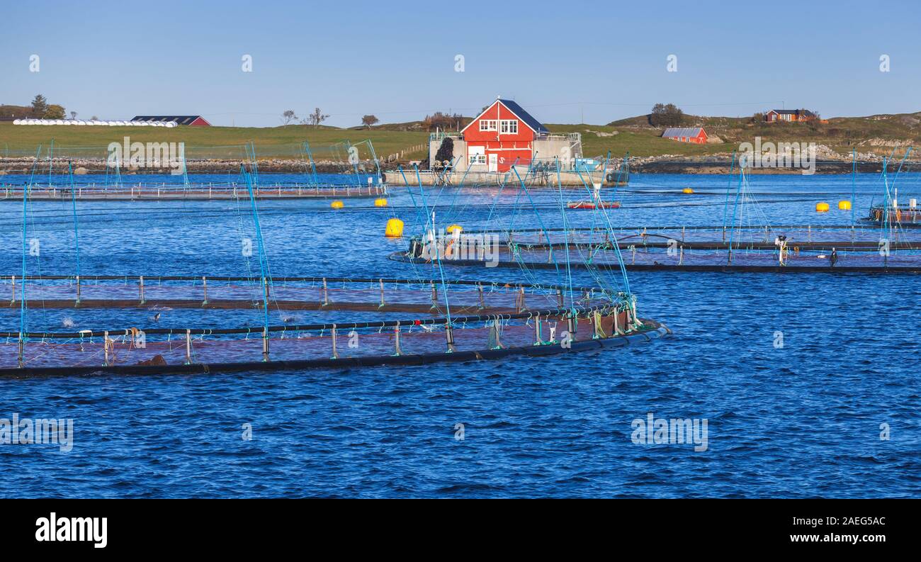 Fish farm aquaculture hi-res stock photography and images - Alamy