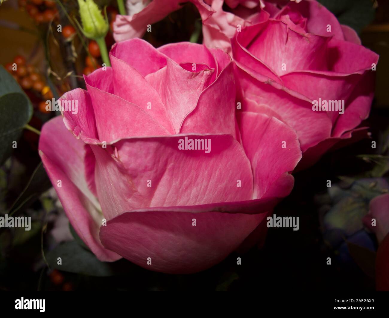Beautiful bright flowers in bouquet Stock Photo - Alamy