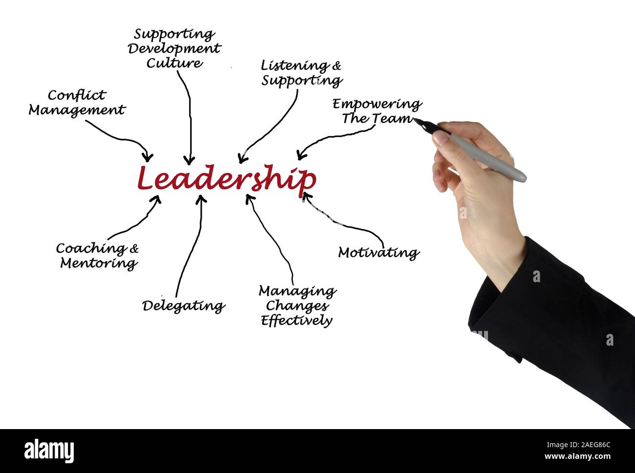 Team coach diagram hi-res stock photography and images - Alamy
