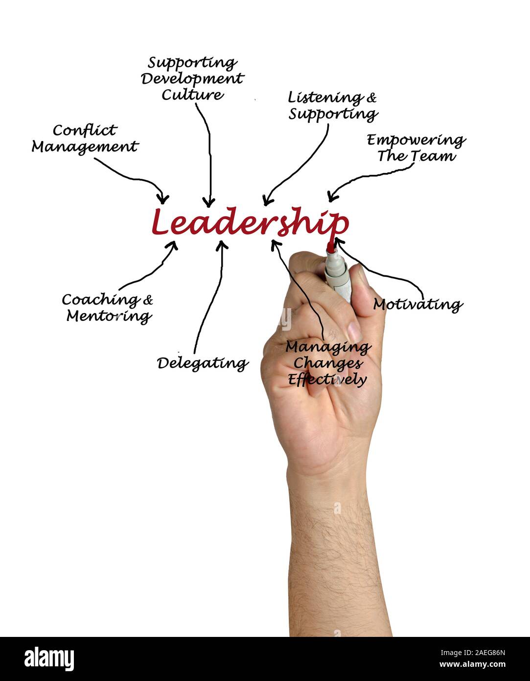 Team coach diagram hi-res stock photography and images - Alamy