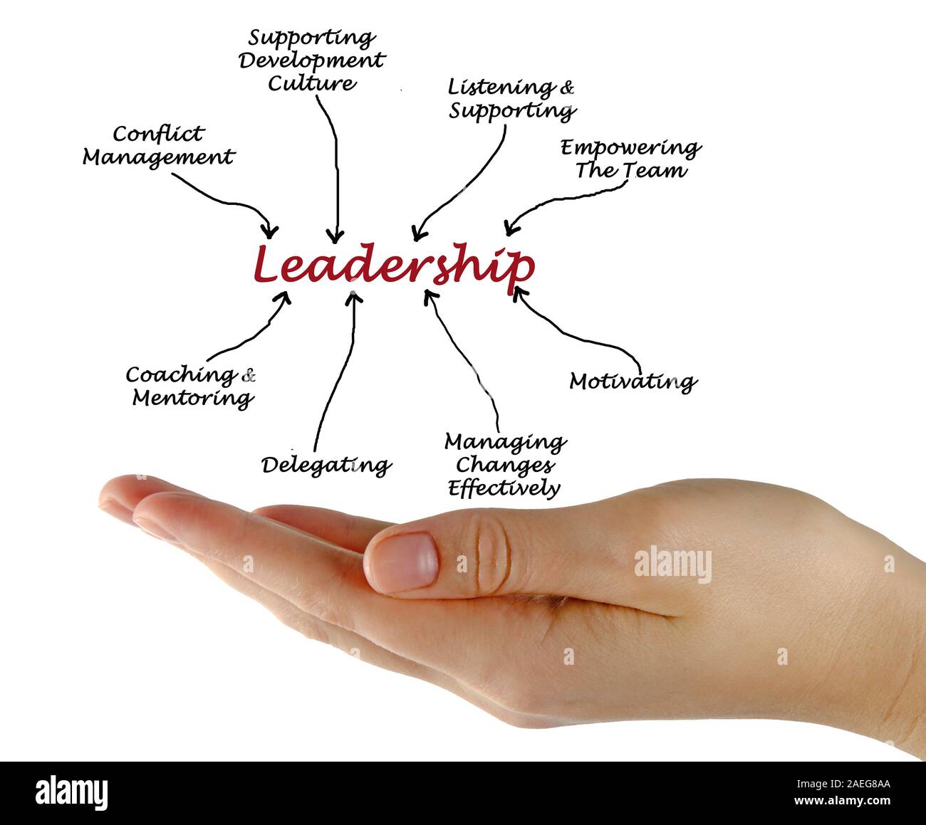 Team coach diagram hi-res stock photography and images - Alamy