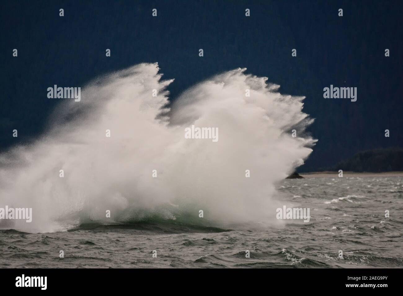 whale breaching splash Stock Photo - Alamy