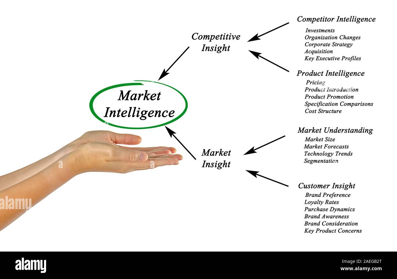 Diagram of Market Intelligence Stock Photo - Alamy