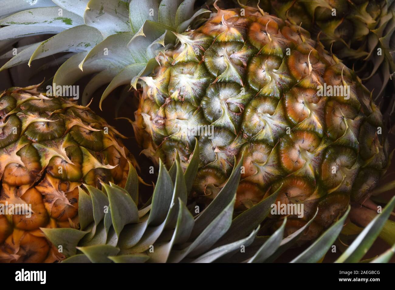 Organic pineapple hi-res stock photography and images - Alamy