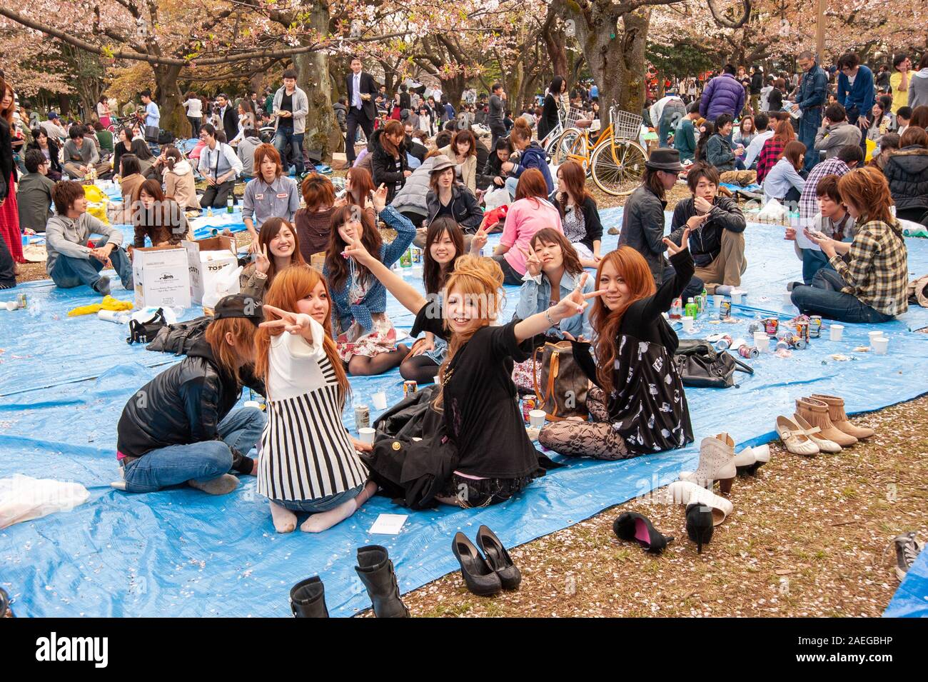 Japanese hanami picnics hi-res stock photography and images - Alamy