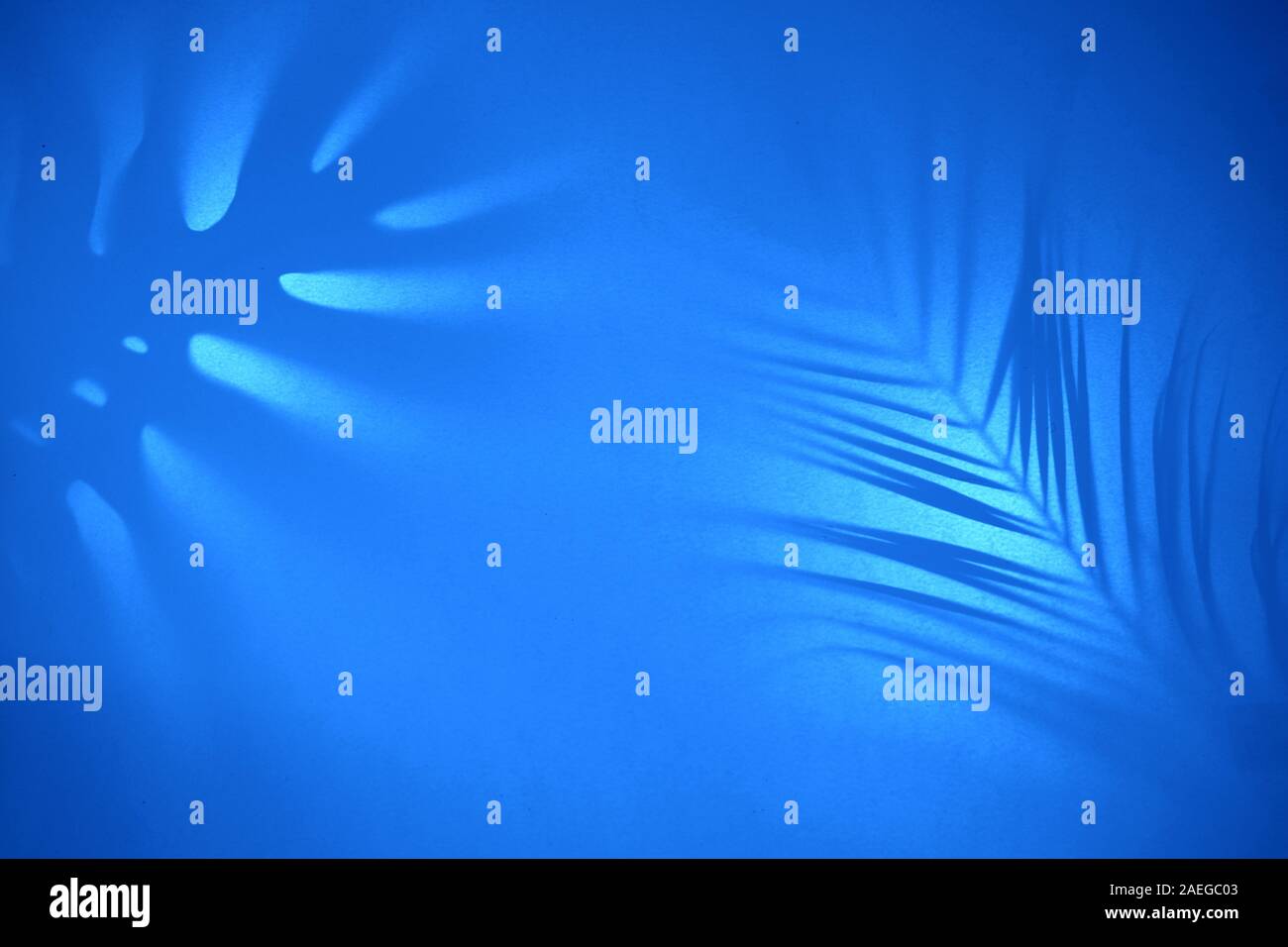 Abstract background of shadows tropical leaves on pastel backdrop in ...