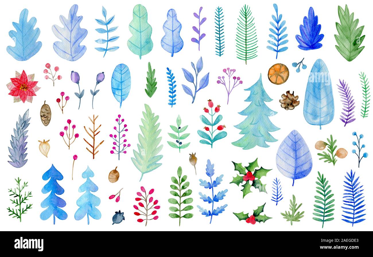 Evergreen Leaves Clipart