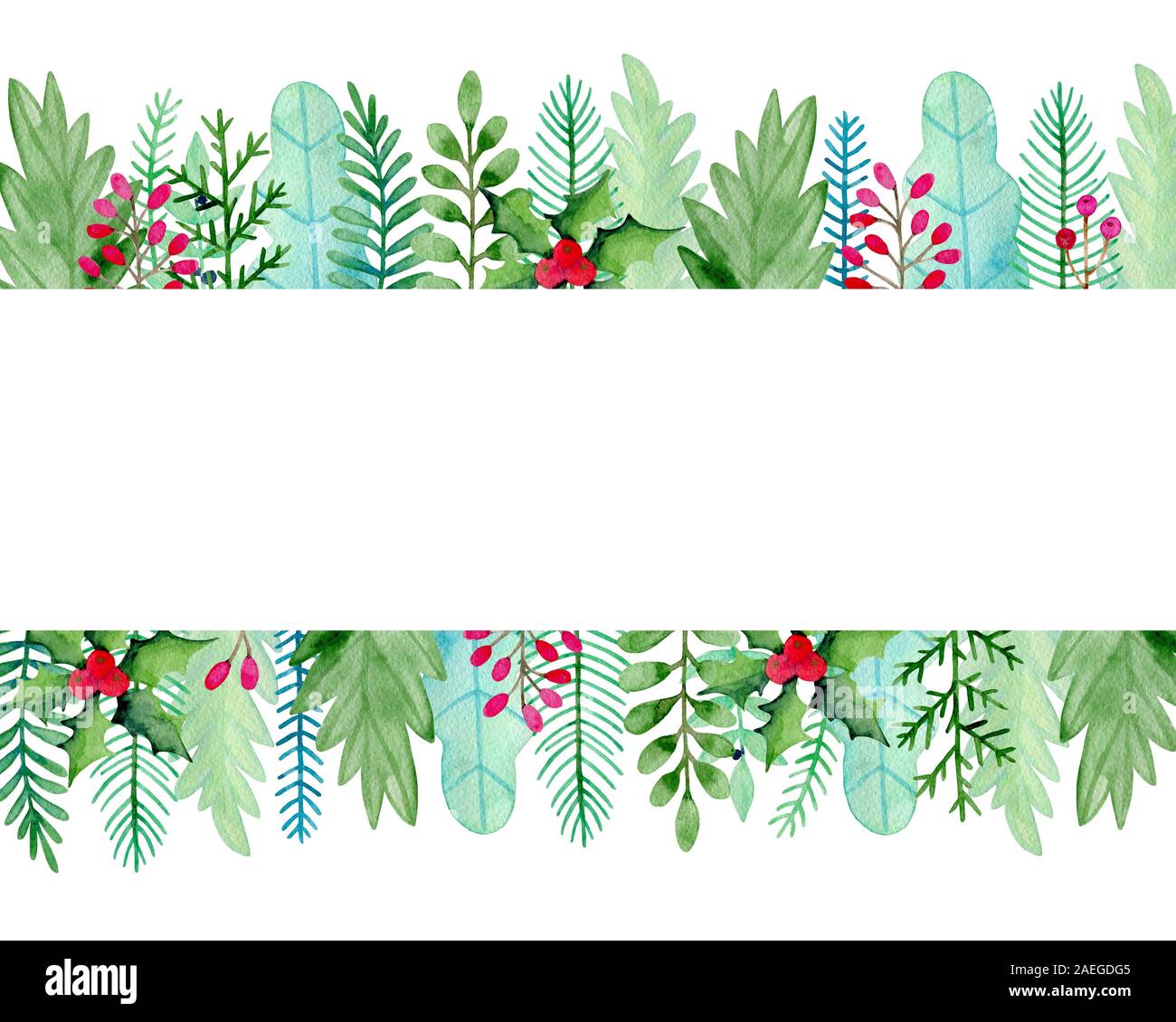 Evergreen Leaves Clipart Background