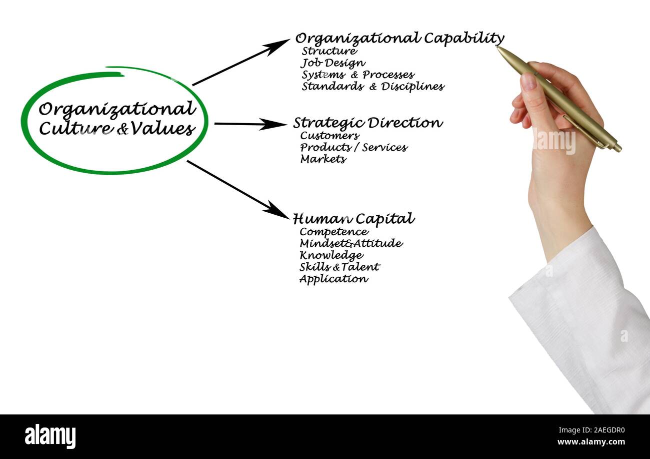 Diagram of Organizational Culture&Values Stock Photo - Alamy