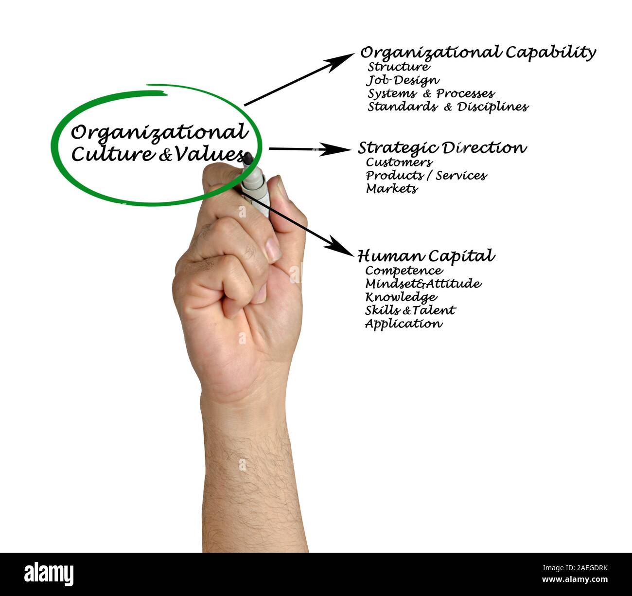 Organizational structure concept hand hi-res stock photography and ...