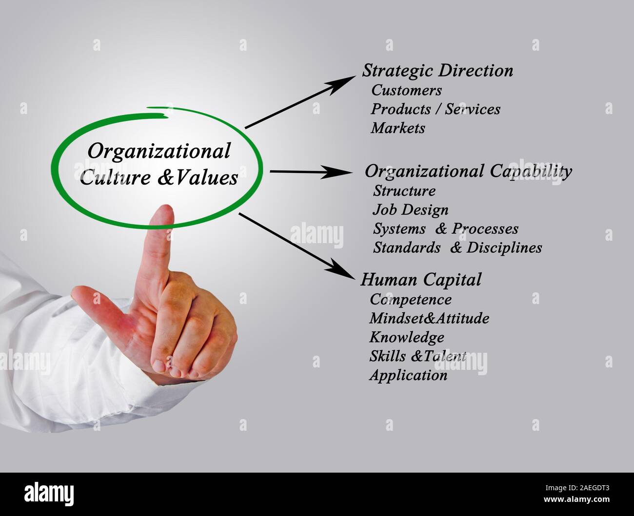 Organizational Culture&Values Stock Photo - Alamy Organizational Culture&Values Stock Photo - Alamy
