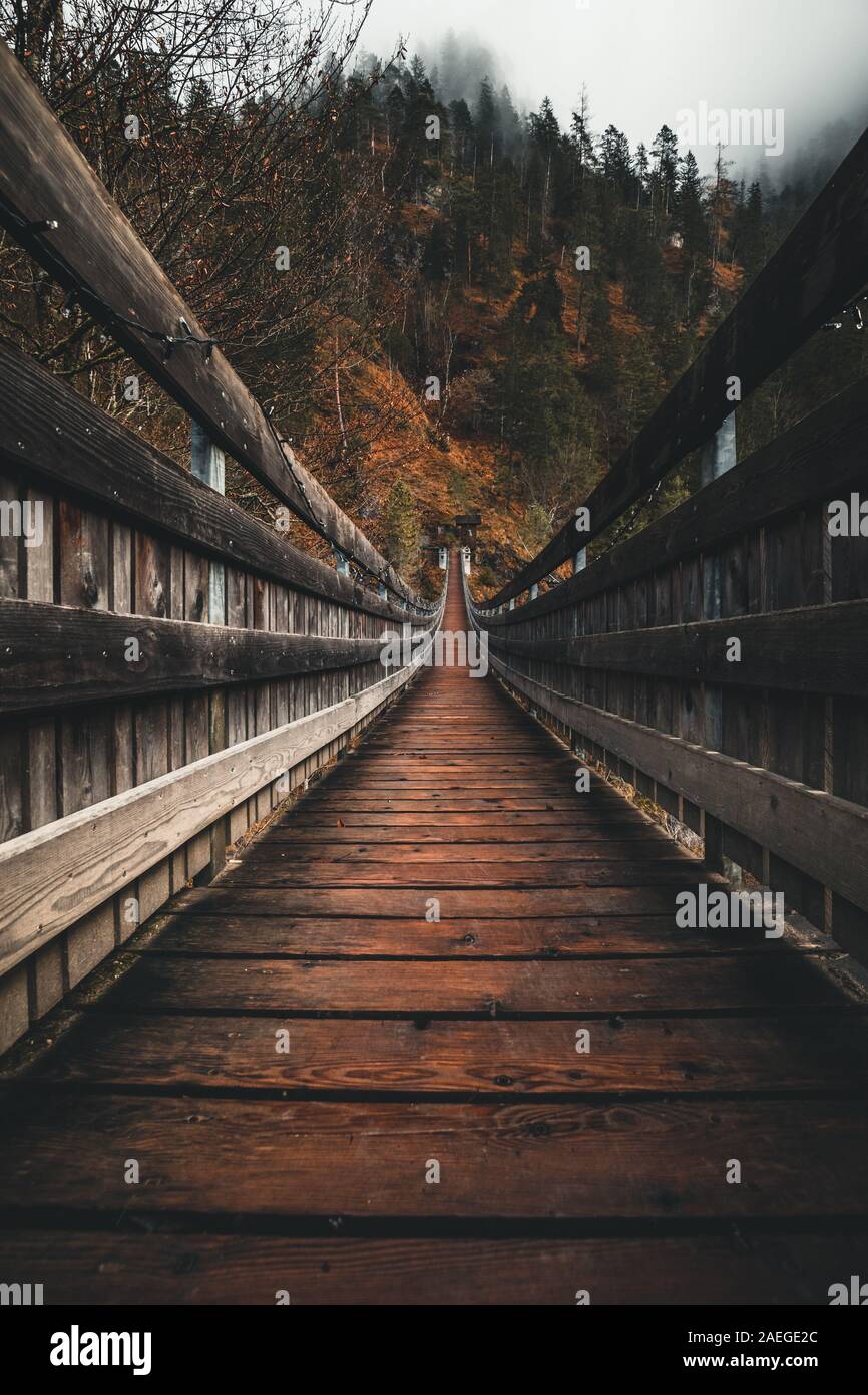 Swing bridge rain forest hi-res stock photography and images - Alamy