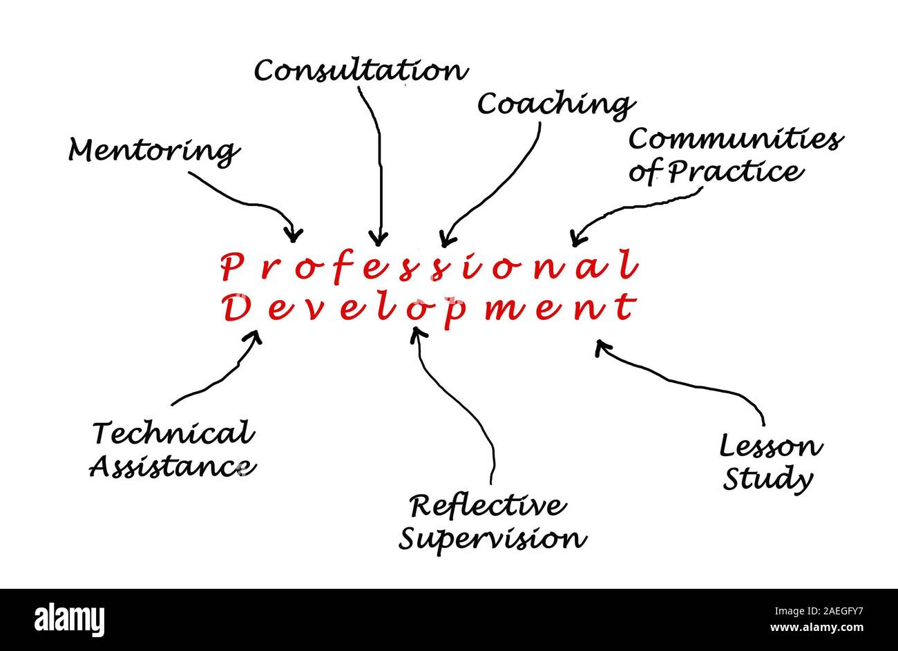 Diagram of Professional Development Stock Photo - Alamy