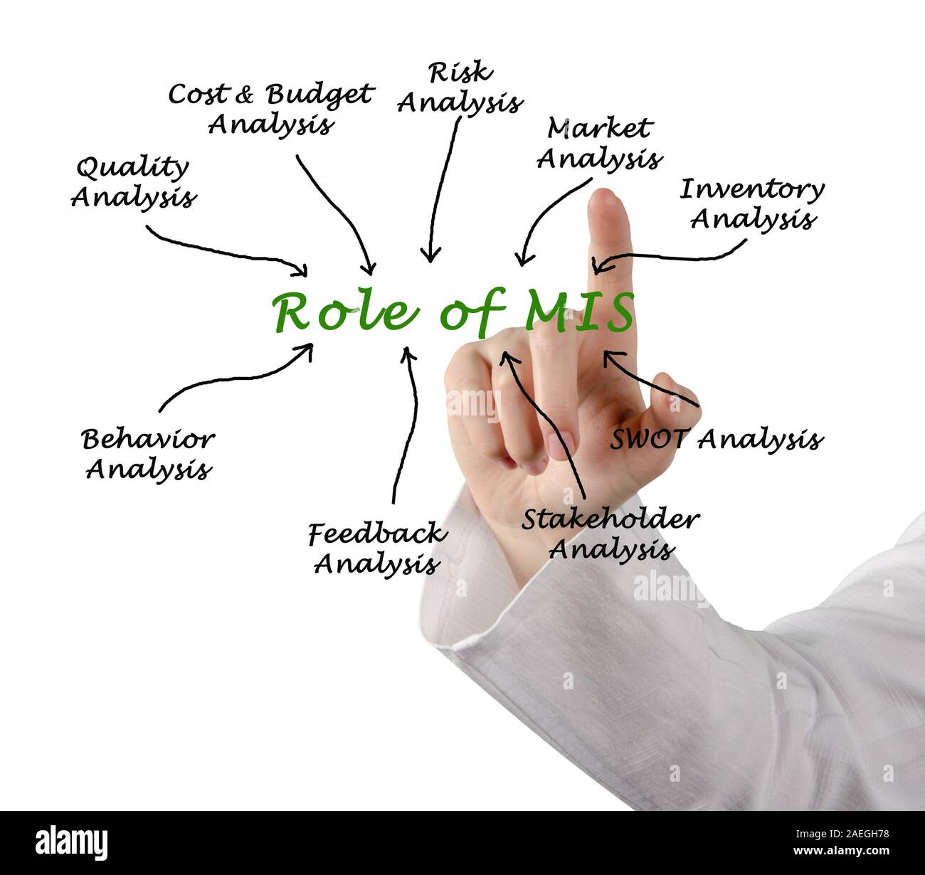 Roles of MIS Stock Photo - Alamy