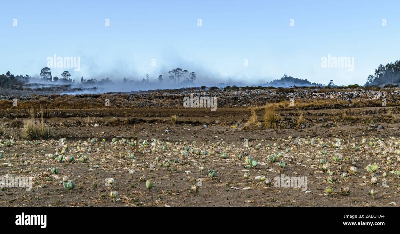 Burning garbage hi-res stock photography and images - Alamy
