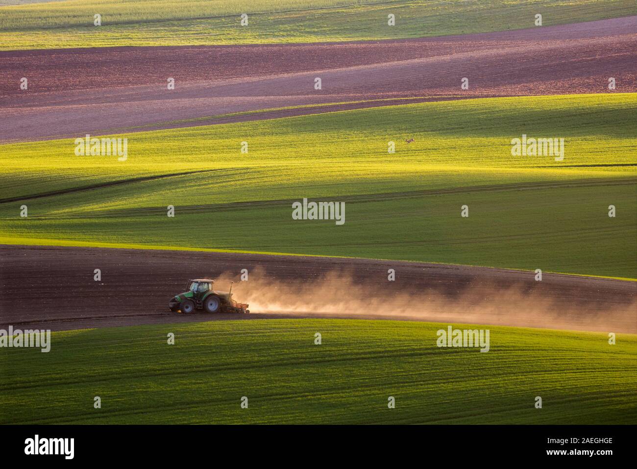 Farmer spring the land at sunset hi-res stock photography and images ...