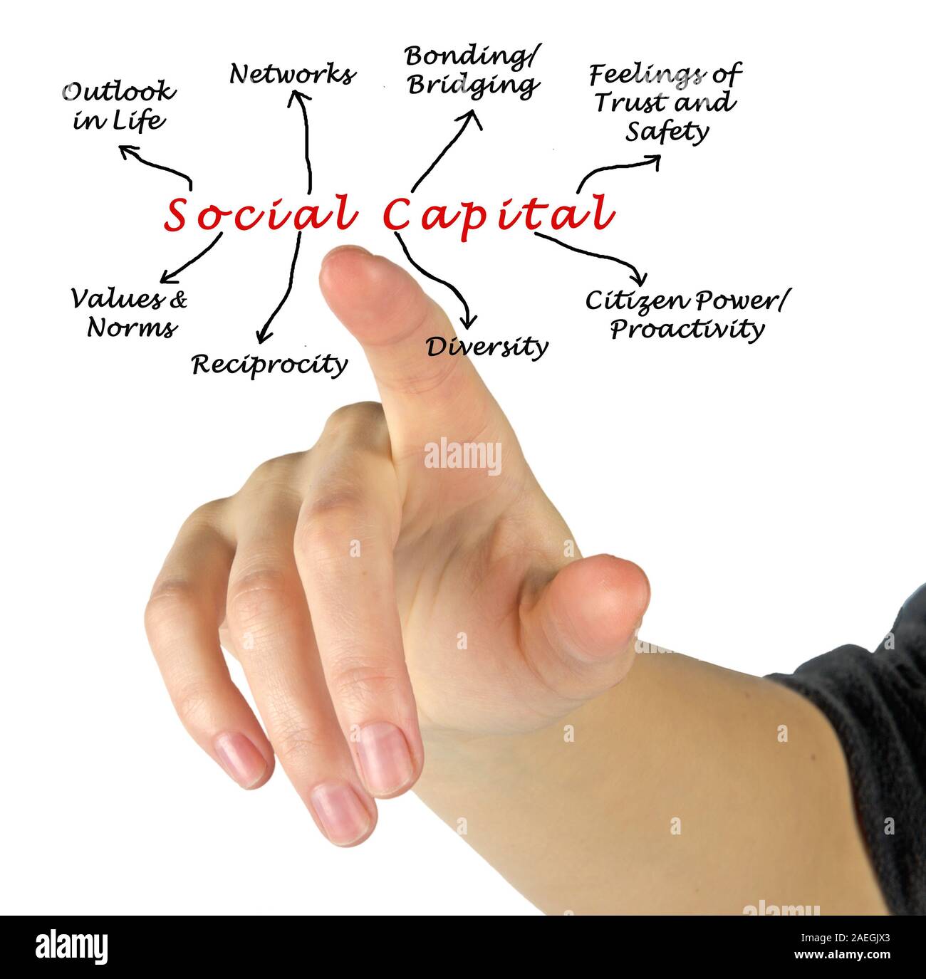 Diagram of Social Capital Stock Photo - Alamy