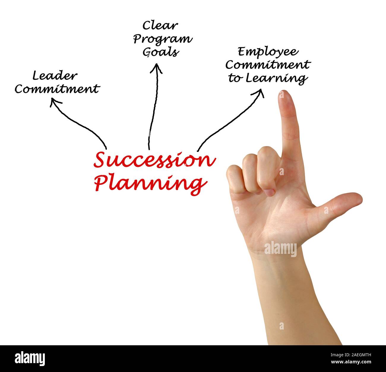 Succession planning hi-res stock photography and images - Alamy