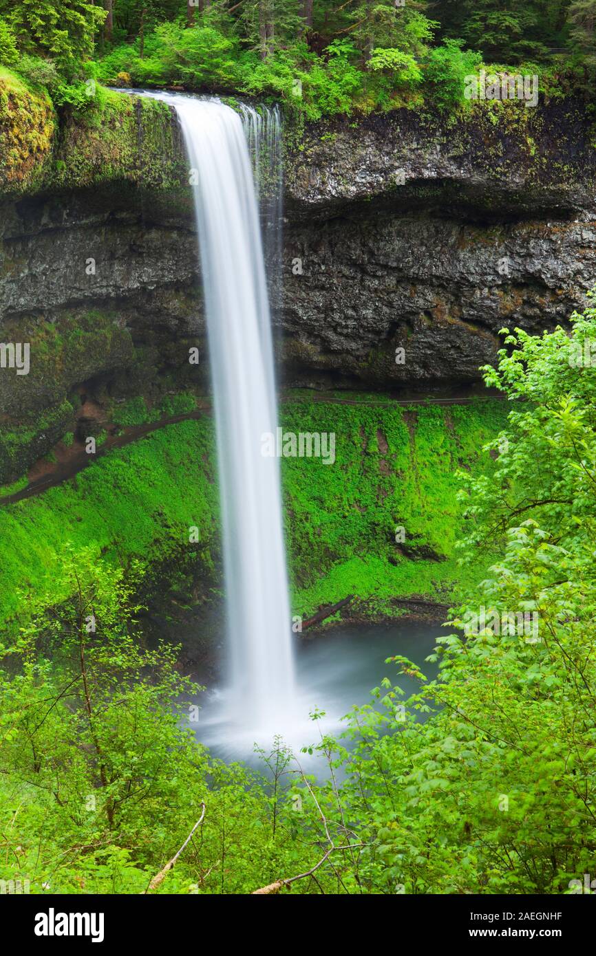 The South Falls in the Silver Falls State Park, Oregon, USA Stock Photo ...