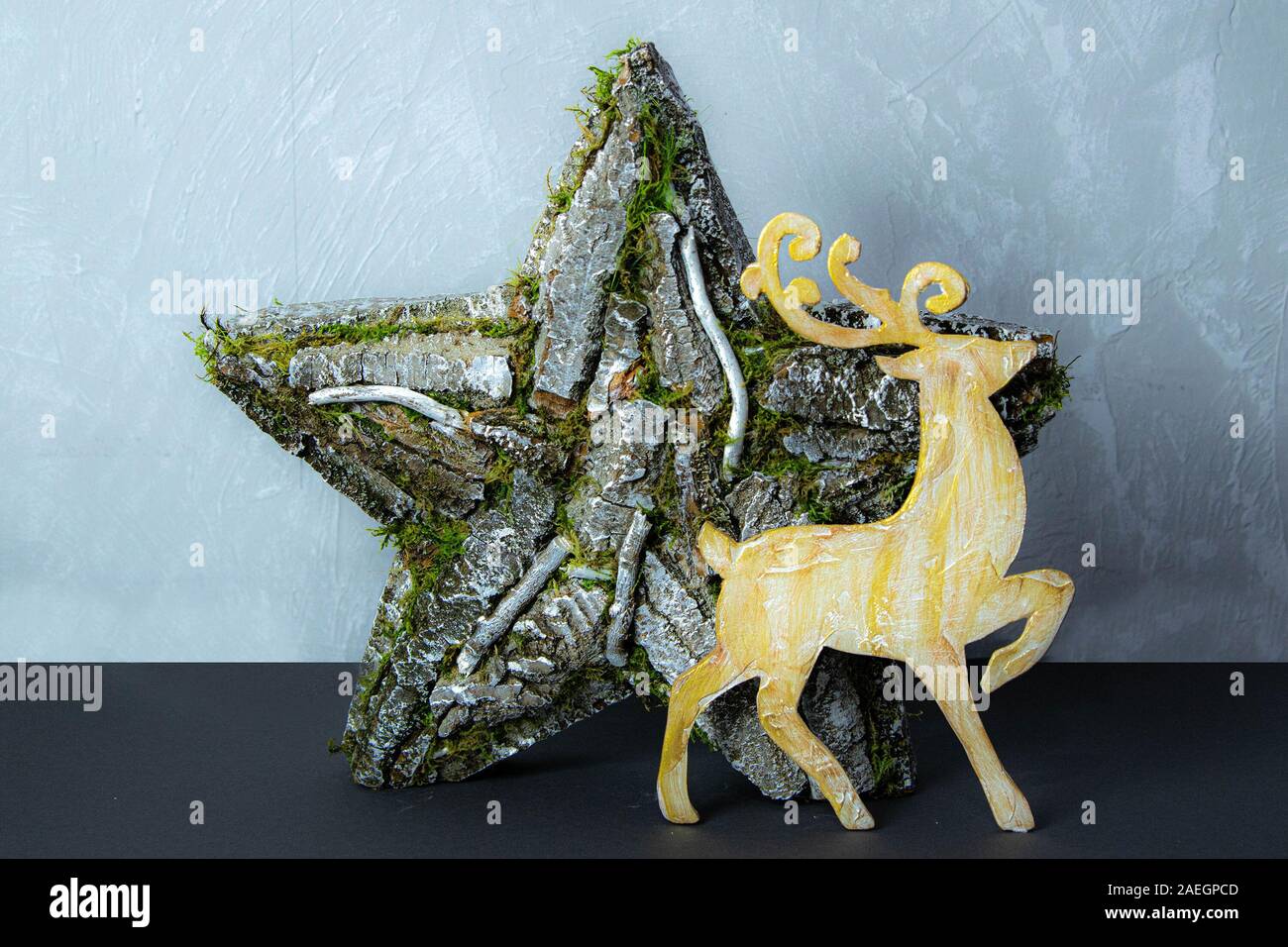 Common earth star hi-res stock photography and images - Alamy