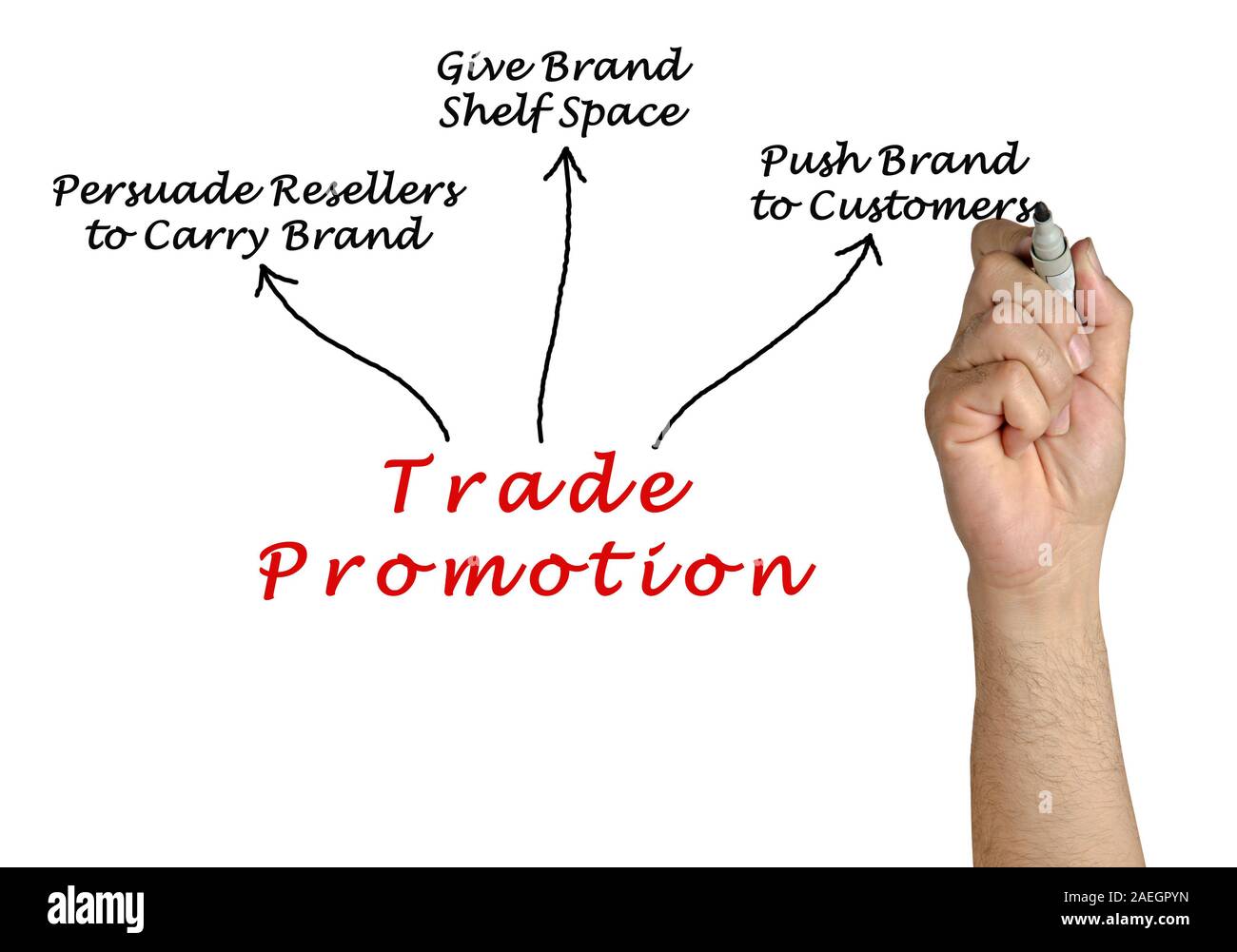 Diagram of Trade Promotion Stock Photo - Alamy