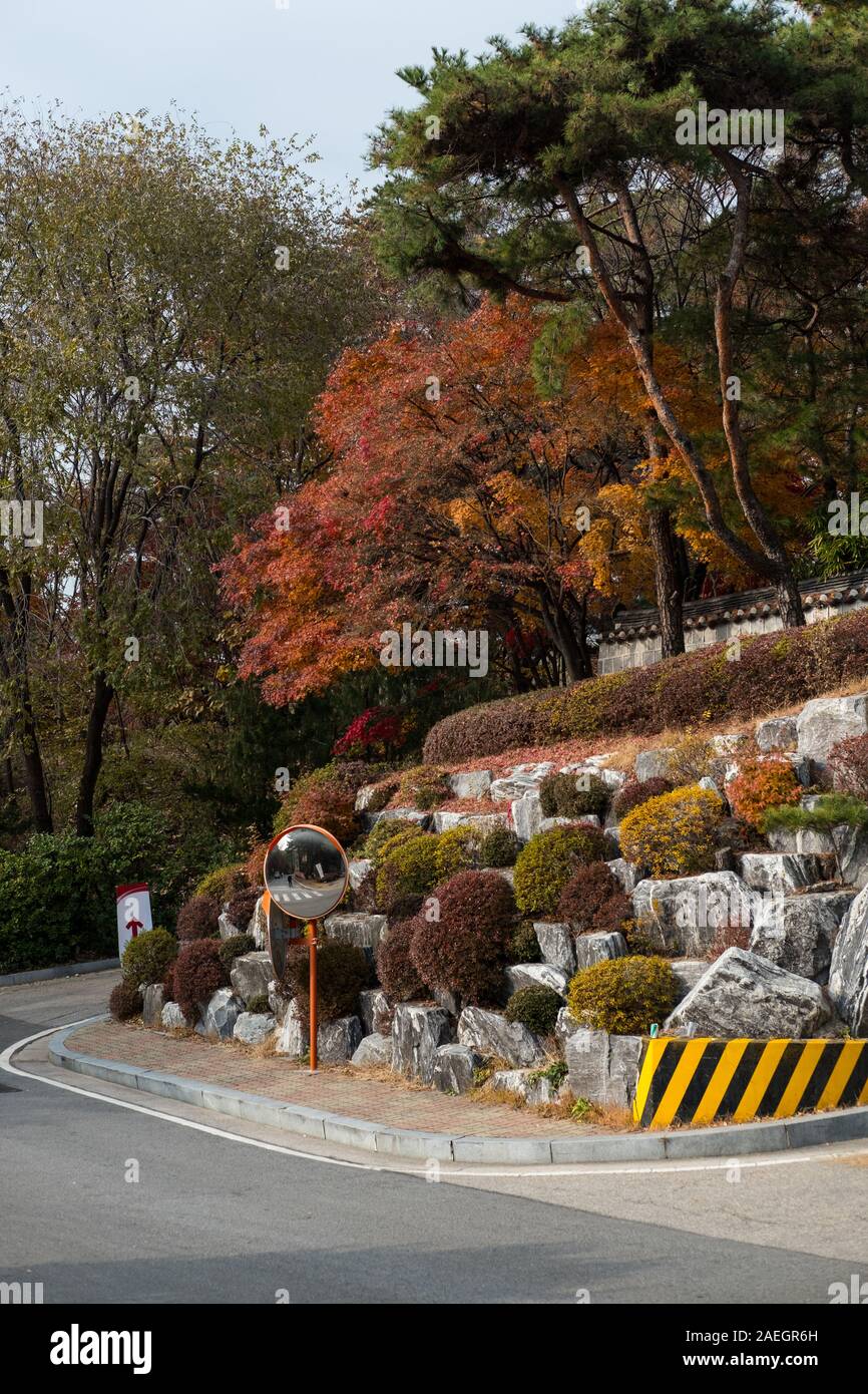 Colorful Red and Orange leaves, autumn season with traditional Korean ...