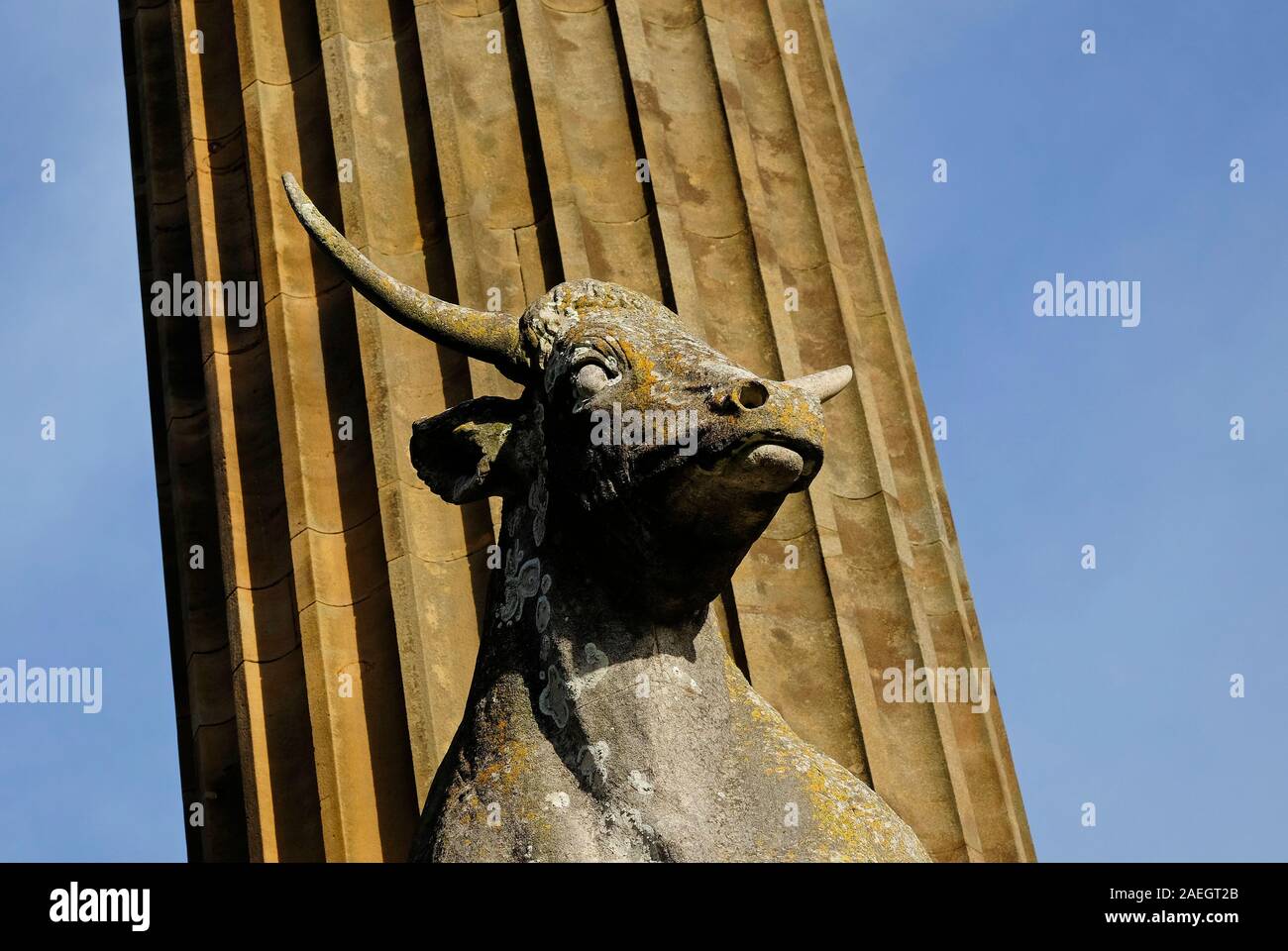sculpture of bull with column and blue sky background Stock Photo - Alamy