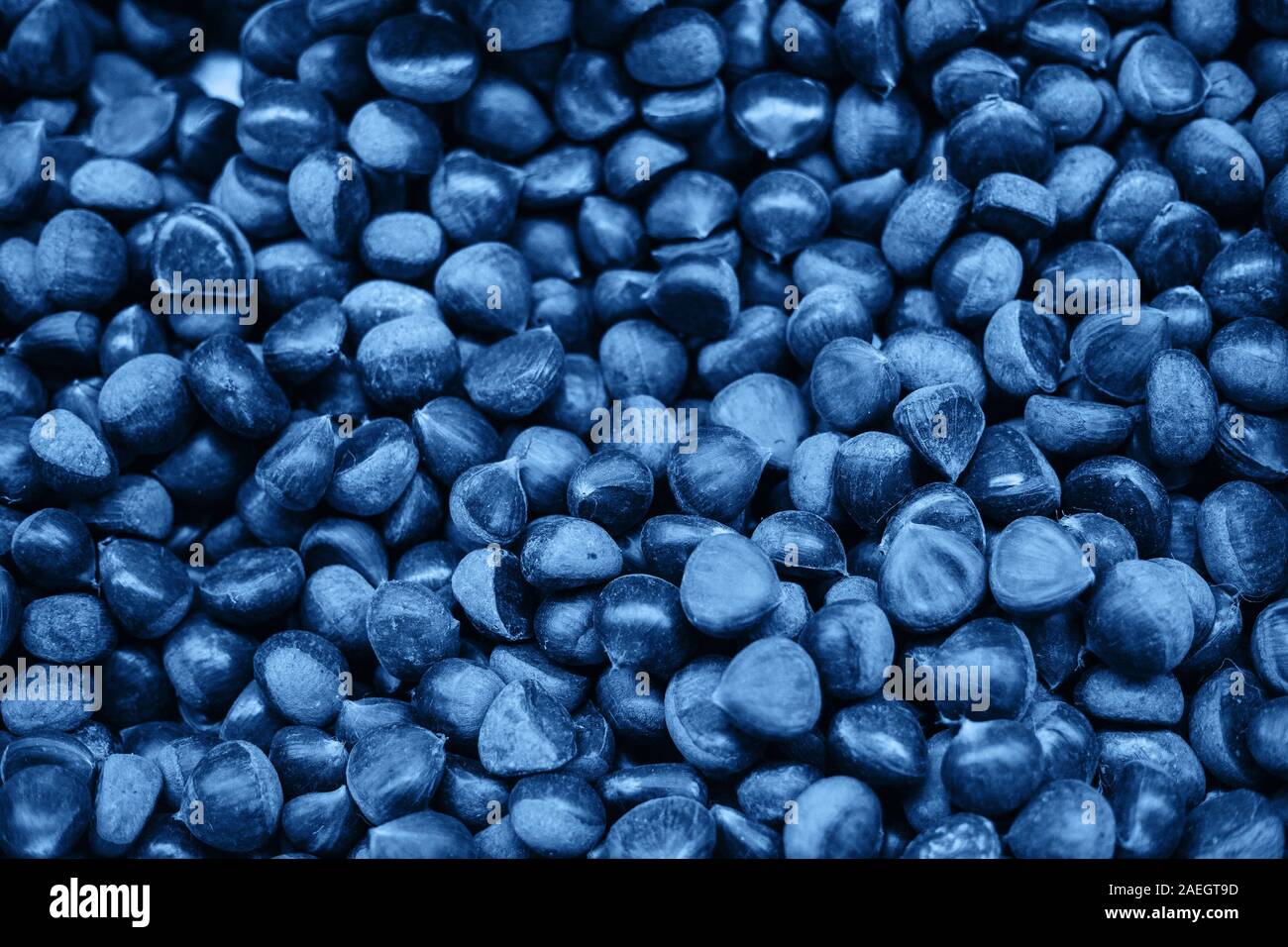 Chestnut grains background in trendy classic blue color Stock Photo - Alamy