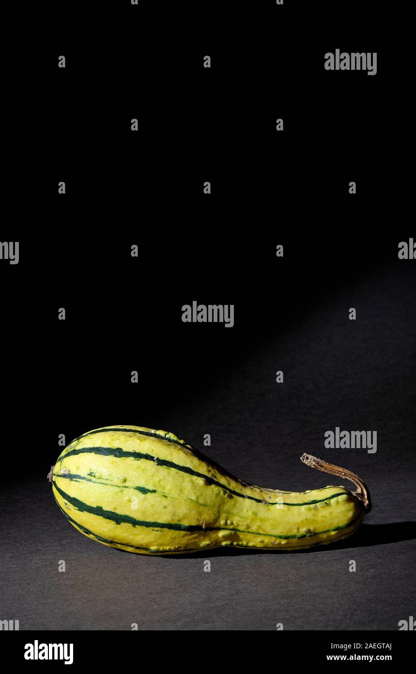 Yellow green gourd hi-res stock photography and images - Alamy