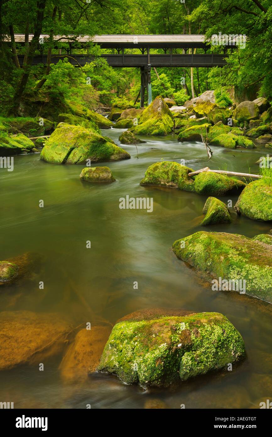 Prum hi-res stock photography and images - Alamy