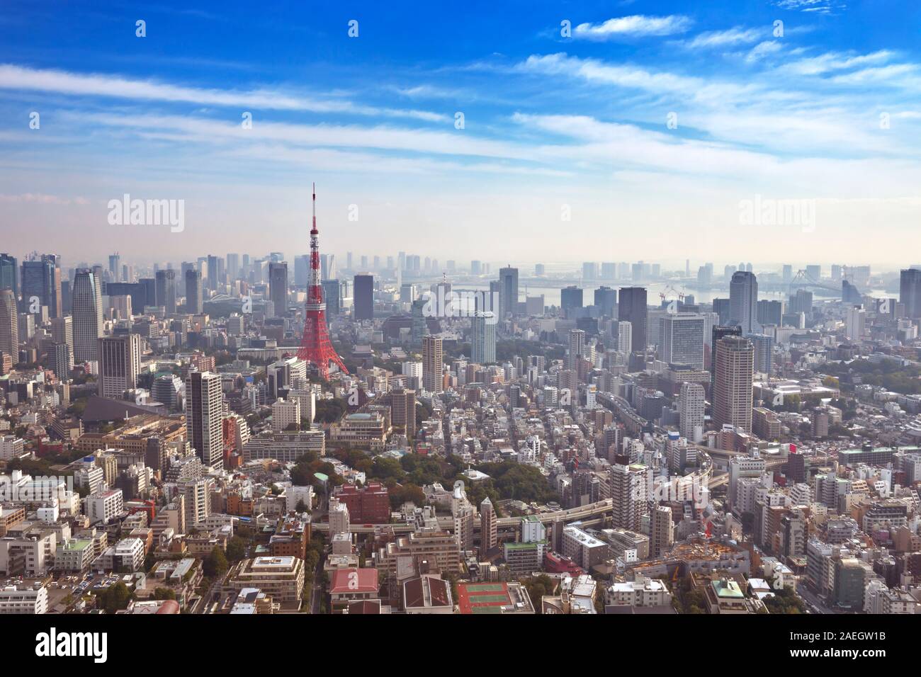 The skyline of Tokyo, Japan with the Tokyo Tower photographed from ...