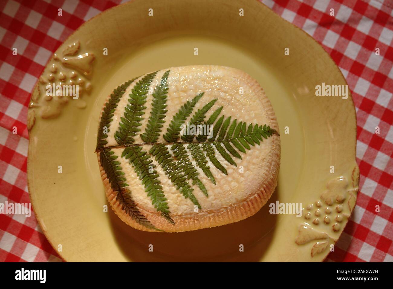 Typical corsican cheese Stock Photo - Alamy