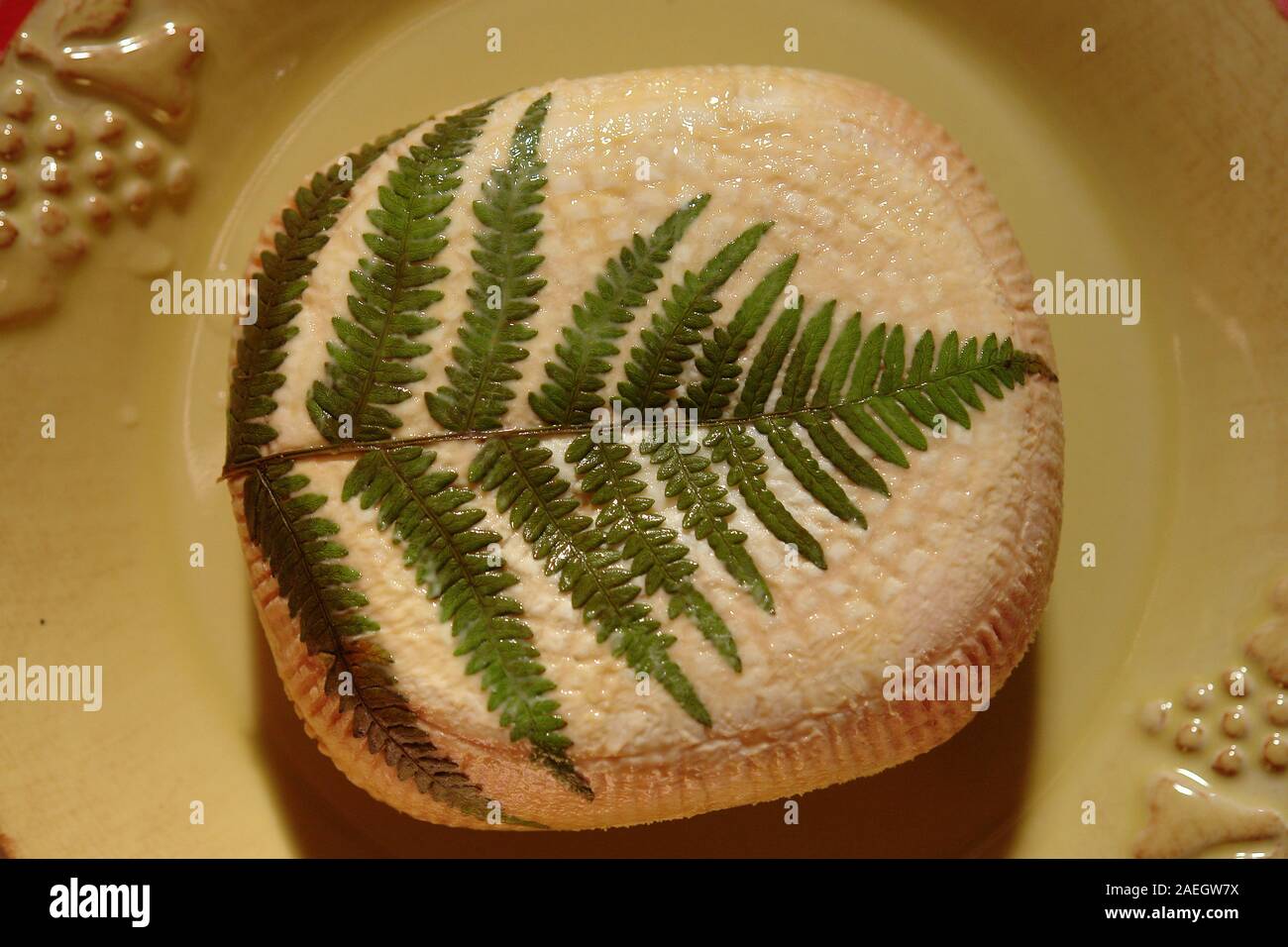 Typical corsican cheese Stock Photo - Alamy
