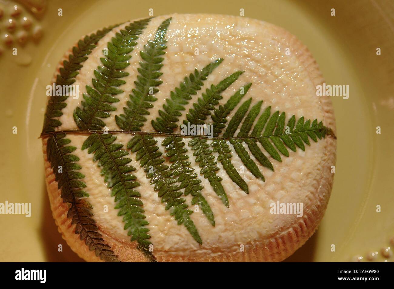 Typical corsican cheese Stock Photo - Alamy