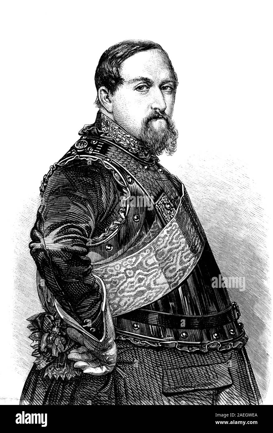 Karl Vii High Resolution Stock Photography and Images - Alamy