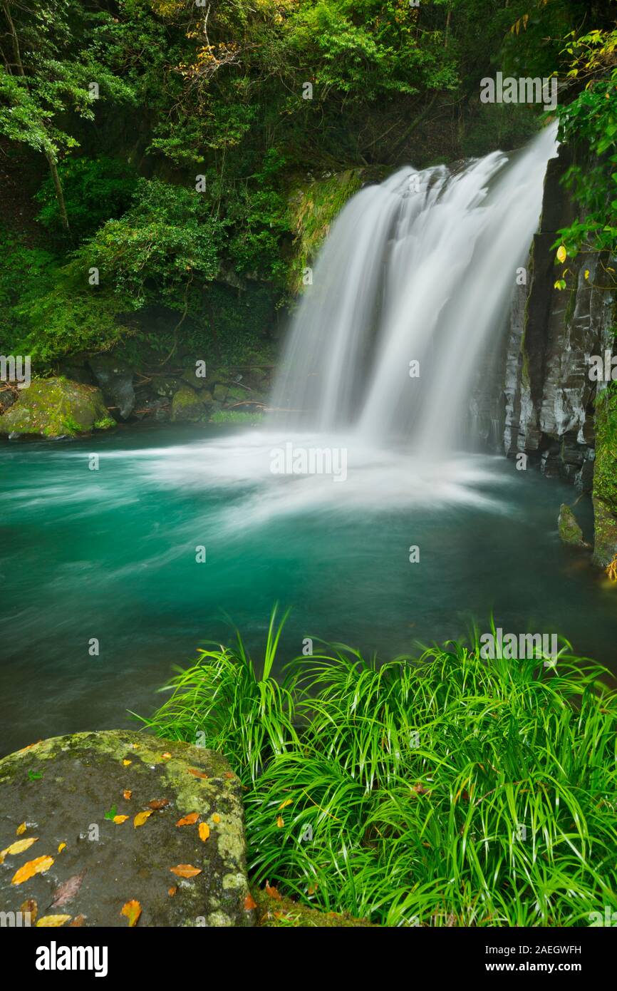 The Shokeidaru waterfall (初景滝) along the Kawazu Nanadaru waterfall ...