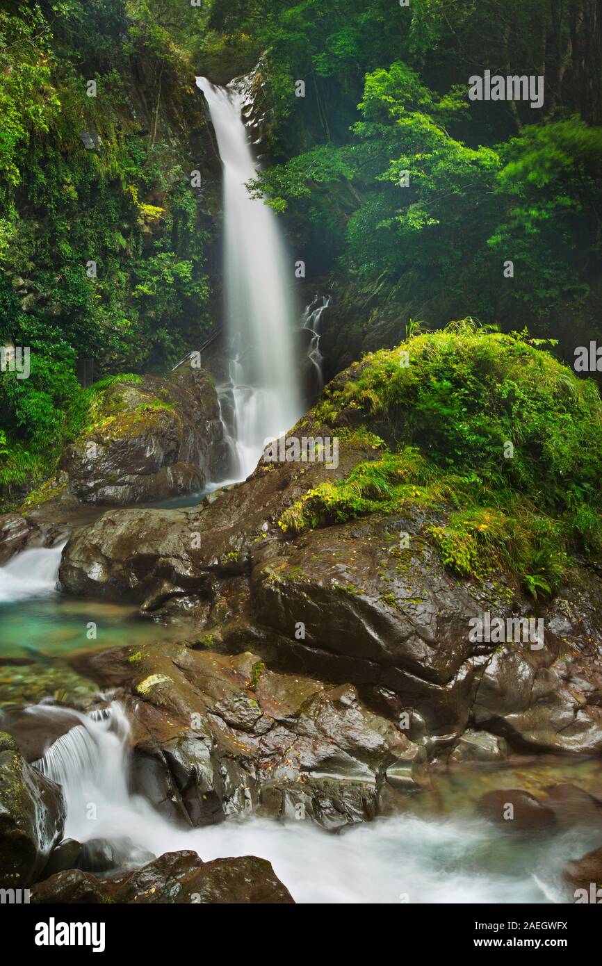The Kamadaru waterfall (釜滝) along the Kawazu Nanadaru waterfall trail ...