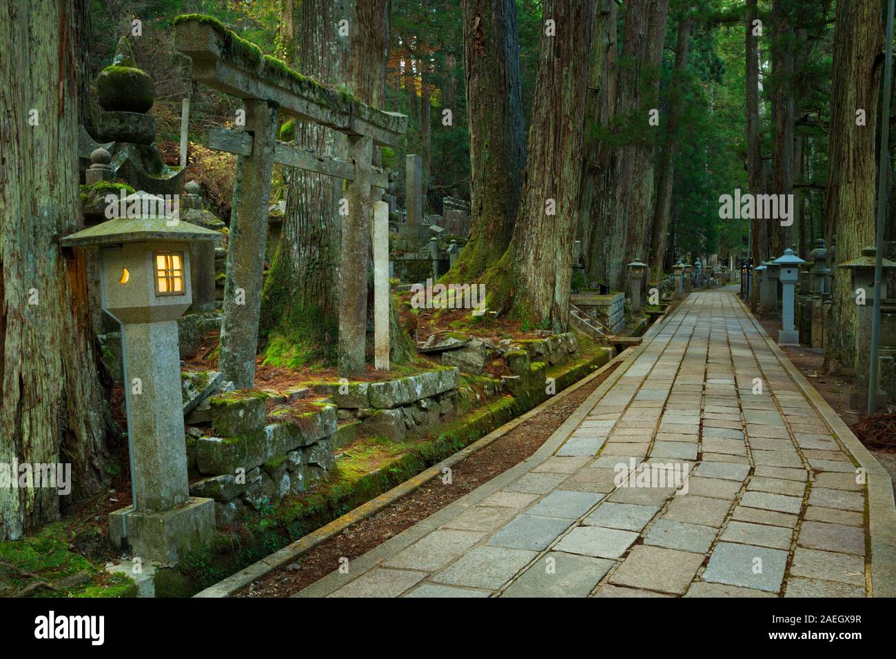 Buddhist cemetery hi-res stock photography and images - Alamy
