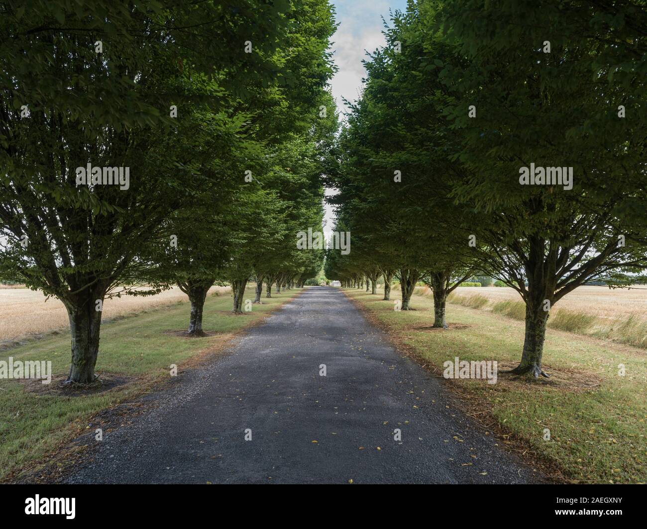 Buttevant cork hi-res stock photography and images - Alamy