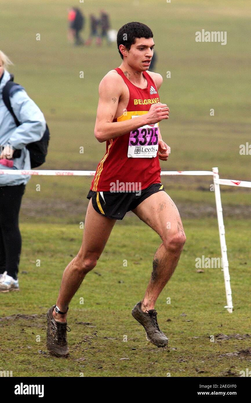 Harriers hi-res stock photography and images - Alamy