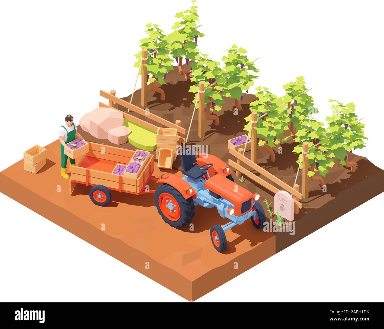 Grape farm vineyard farmer Stock Vector Images - Alamy