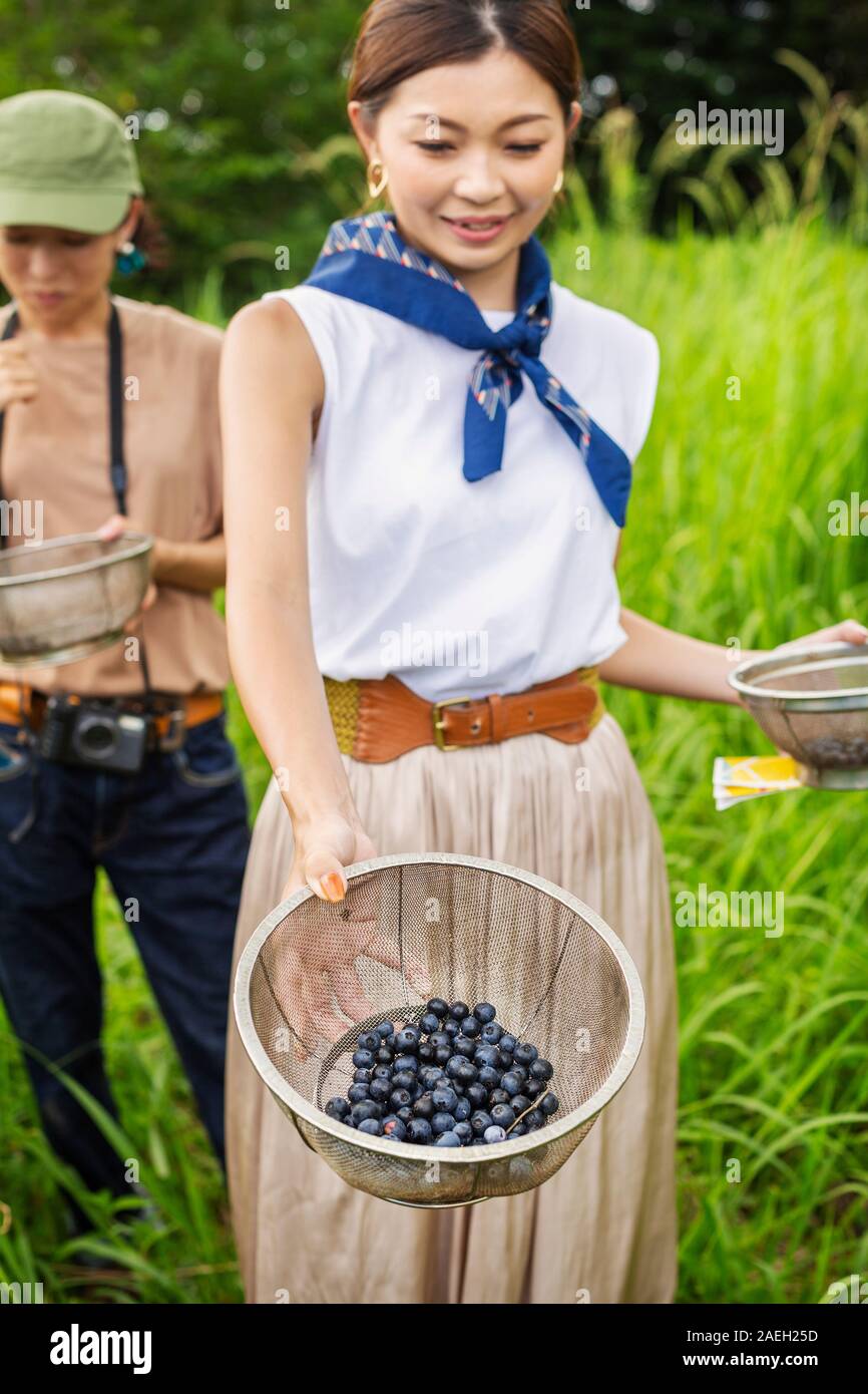Two Japanese woman picking berries in a field Stock Photo - Alamy