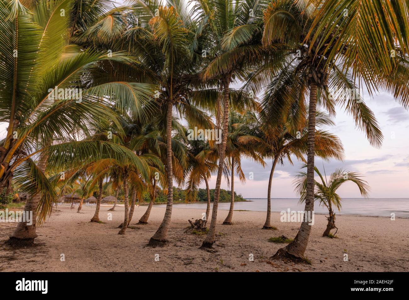Strand playa larga hi-res stock photography and images - Alamy