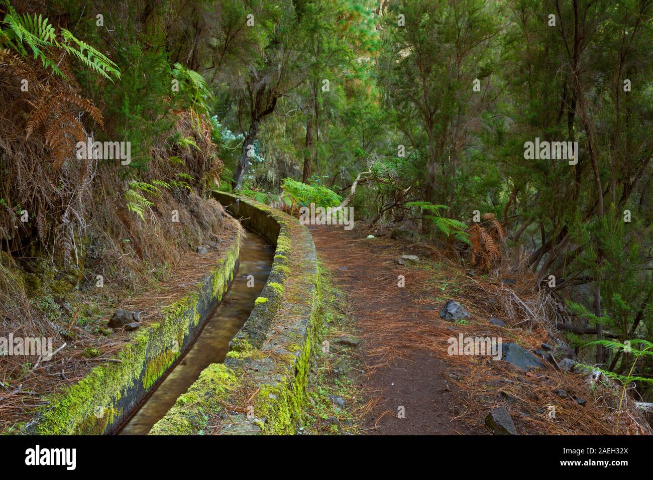 Bosque de agua hi-res stock photography and images - Alamy