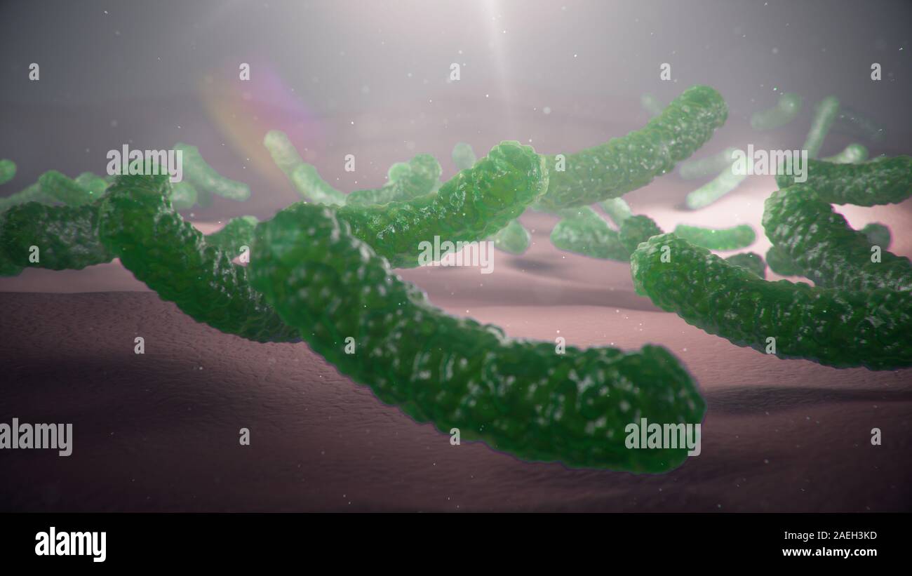 3d illustration viruses causing infectious diseases, decreased immunity ...